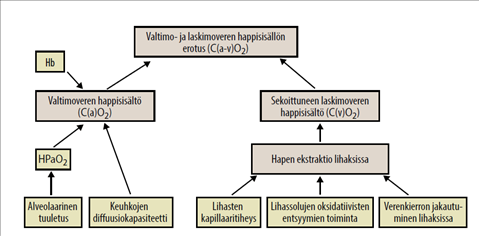 Spiroergometria fyysisen suorituskyvyn ja sitä rajoittavien tekijöiden ...