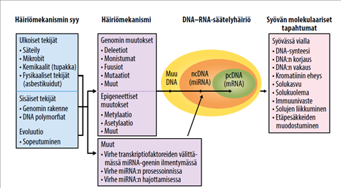 Mikro-RNA:t ja syöpä