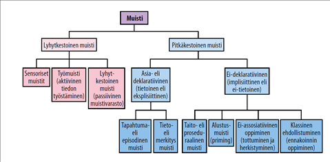 Uni, muisti ja oppiminen