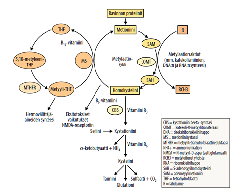 Masennus ja ruokavalio