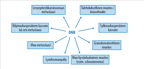 Kaulakyhmy - ohutneulabiopsia diagnostiikassa ja hoidon suunnittelussa