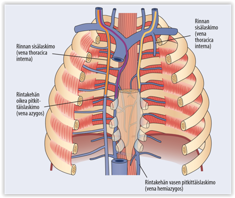 Putket ja piuhat keuhkokuvassa