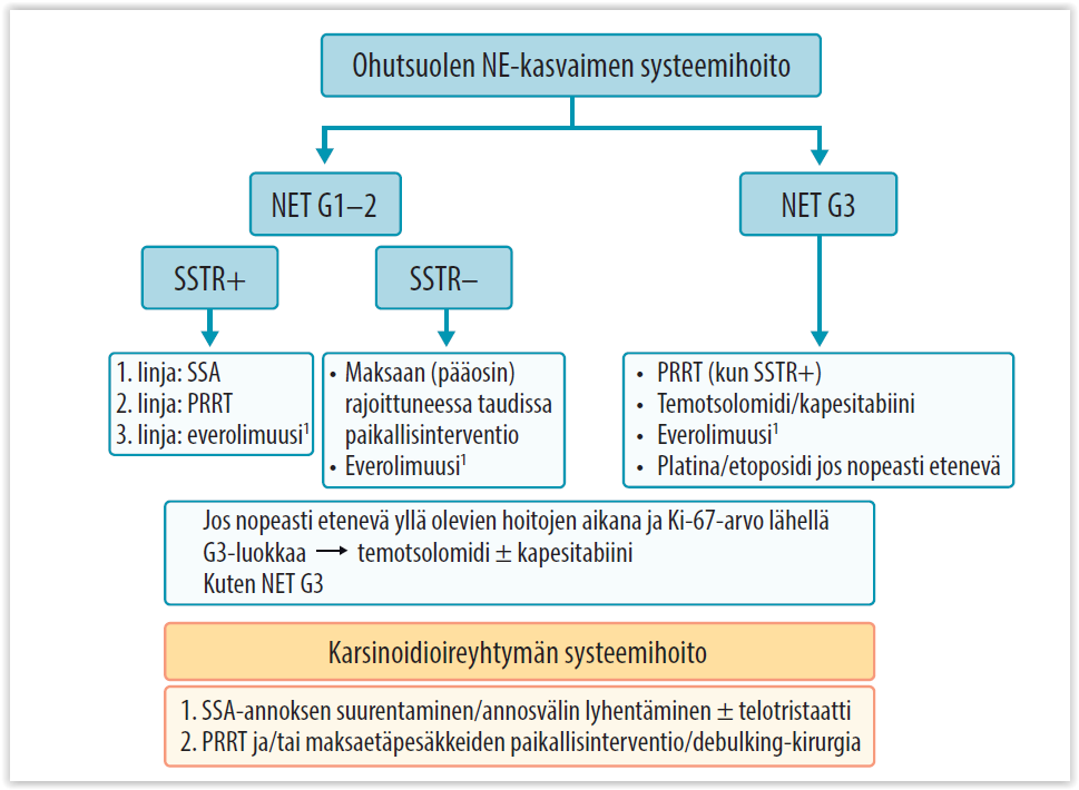 Ohutsuolen ja umpilisäkkeen neuroendokriiniset kasvaimet
