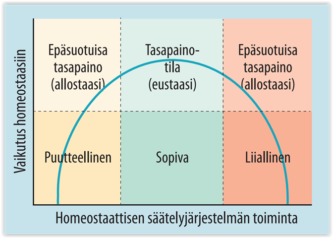 Stressin vaikutus aivoihin ja sairastuvuuteen eri ikäkausina