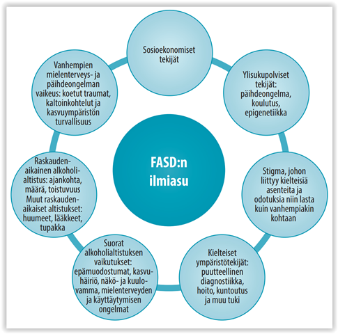Alkoholin aiheuttamien sikiövaurioiden ja niiden seurauksien ehkäisy