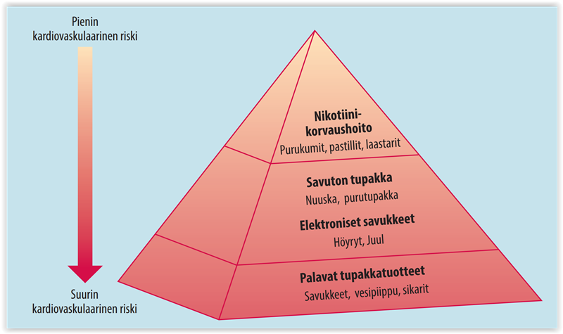 Mitä nikotiinin sydän- ja verisuonivaikutuksista tiedetään?
