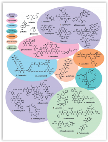 Bakteerien avulla antibiootteja mikrobi- ja syöpälääkkeiksi