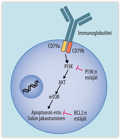 Follikulaarisen lymfooman muuttuva hoito