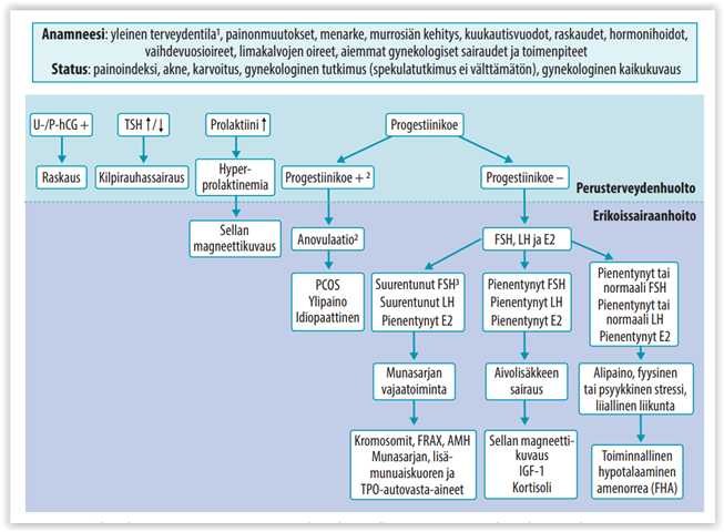 Toiminnallinen hypotalaaminen amenorrea - merkittävä terveysriski
