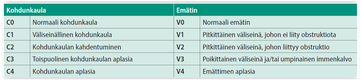Kohdun synnynnäiset rakennepoikkeavuudet - onko niillä merkitystä?