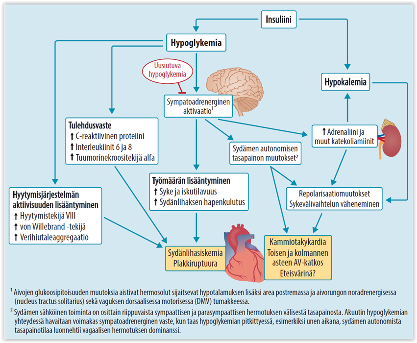 Diabetesta sairastavan hypoglykemia ja vakavat sydänongelmat