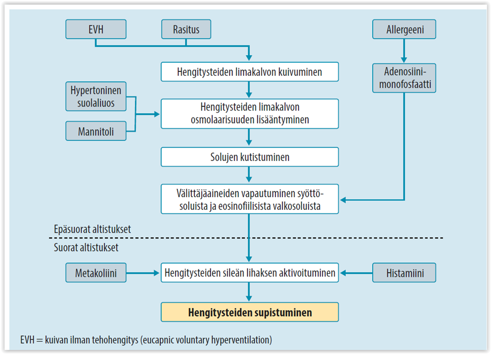 Mannitolialtistuksen kliininen käyttö