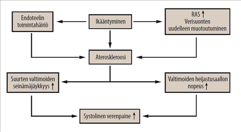 Iäkkään verenpainepotilaan hoito