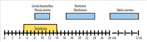 Toksoplasma-, parvovirus- ja sytomegalovirusinfektiot raskauden aikana