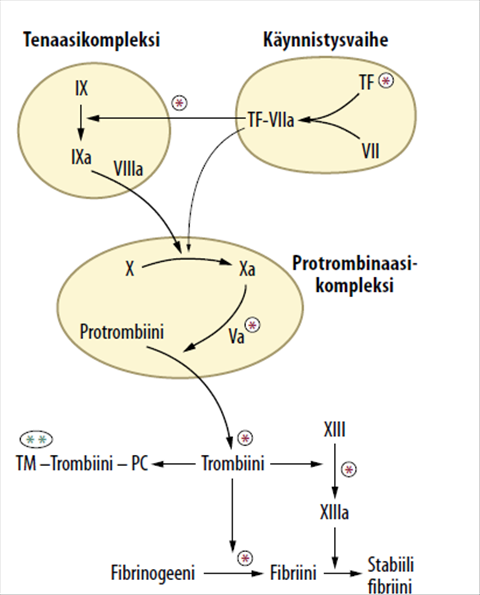 Statiinit ja tromboosi